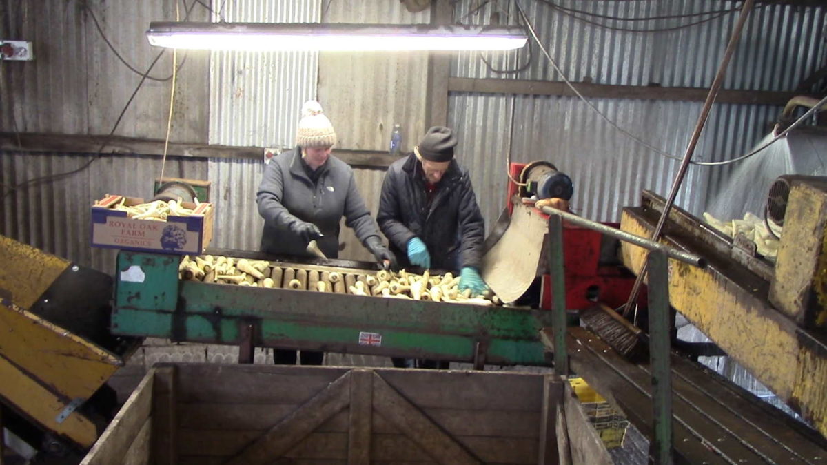 Royal Oak - Organic North Wholesalers